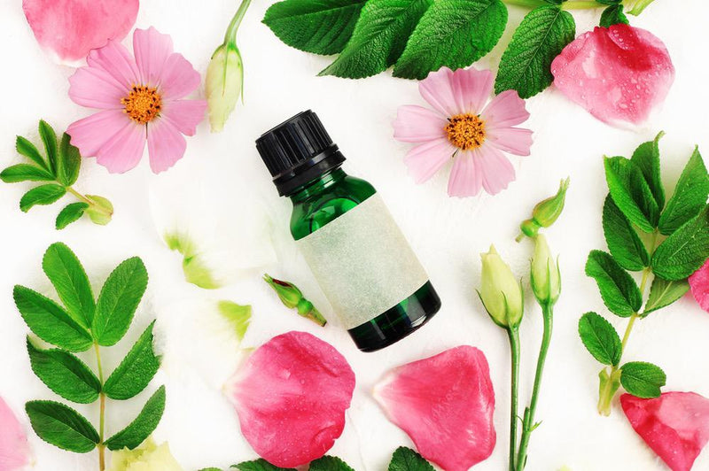 Kinds of Fragrance Notes – Nature's Garden