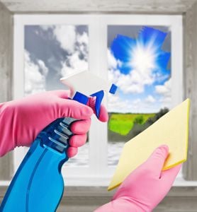 Natural Window Cleaner Recipe | Nature's Garden