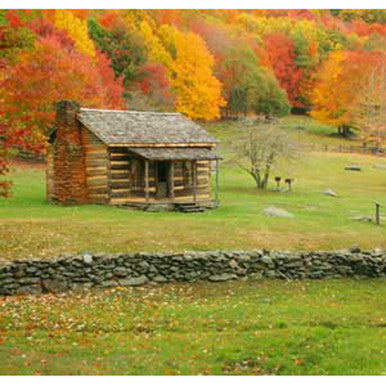 Down Home Country Fragrance Oil - Fragrance Oils - for Soap & Candle ...