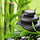 Fresh Bamboo Fragrance Oil - Fragrance Oils - for Soap & Candle Making ...