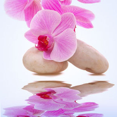 Orchid Rain Fragrance Oil - Fragrance Oils - for Soap & Candle Making ...