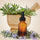Rosemary Fragrance Oil - Fragrance Oils - for Soap & Candle Making - 16 ...